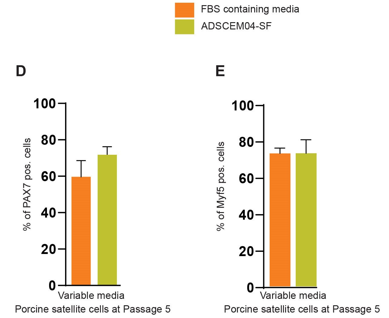 Serum Free Expansion Cell Media for Porcine Primary Muscle Cells ...